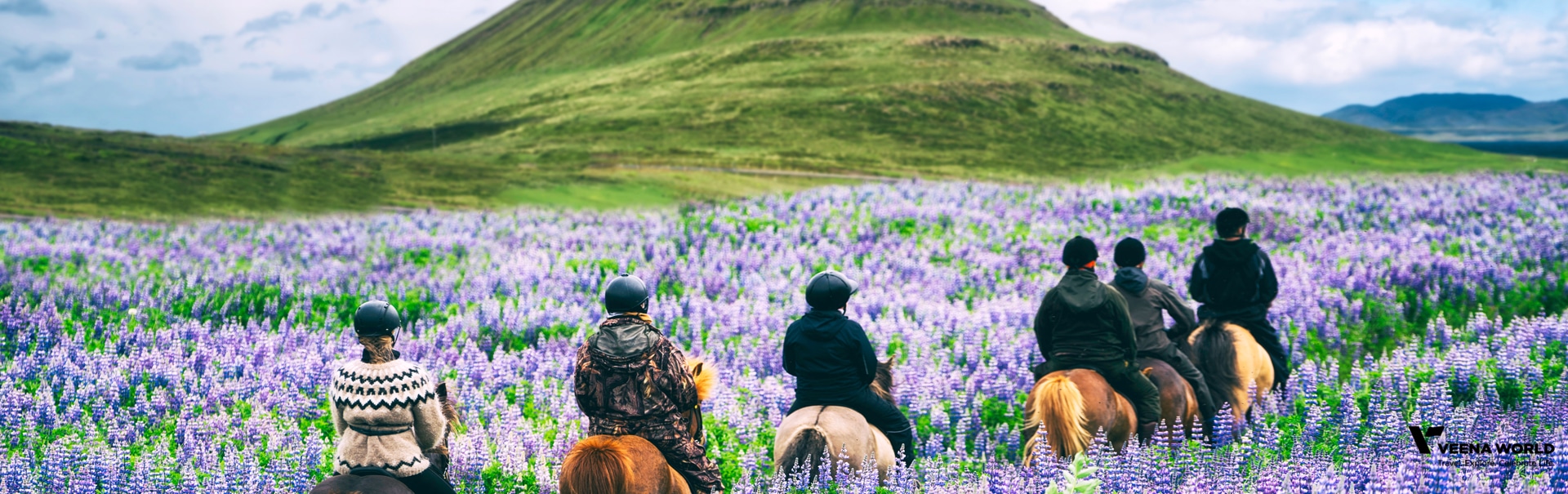 Page 2|240 Group Tour Packages: Buy Air Inclusive Group Travel Packages ...